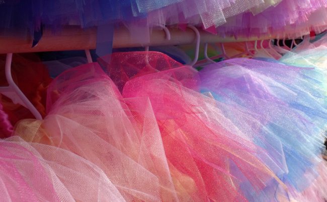 What is Bunting? Definition with Examples