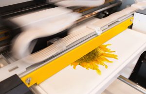 Fabric Printing Methods: 6 Types & Techniques For Your Textiles